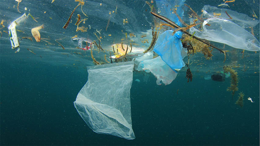 Plastmasas piesārņojums - Multinews.lv